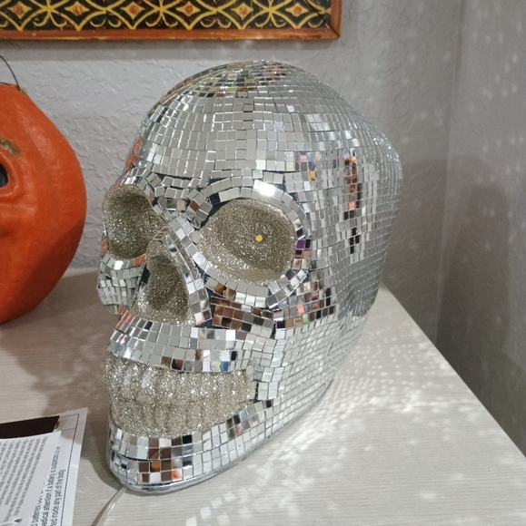 Rachel Zoe | Art | Rachel Zoe Led Disco Skull Lights Up Skeleton ...